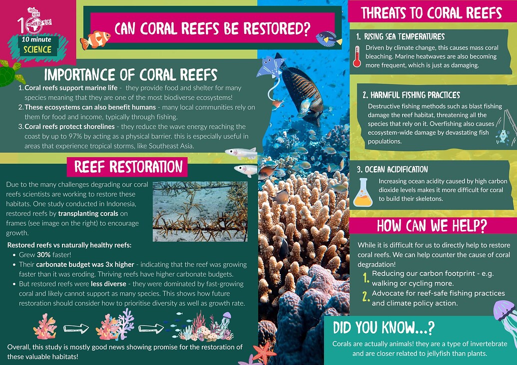 10 Minute Science - Can Coral Reefs be Restored? - Ocean - Power of 10