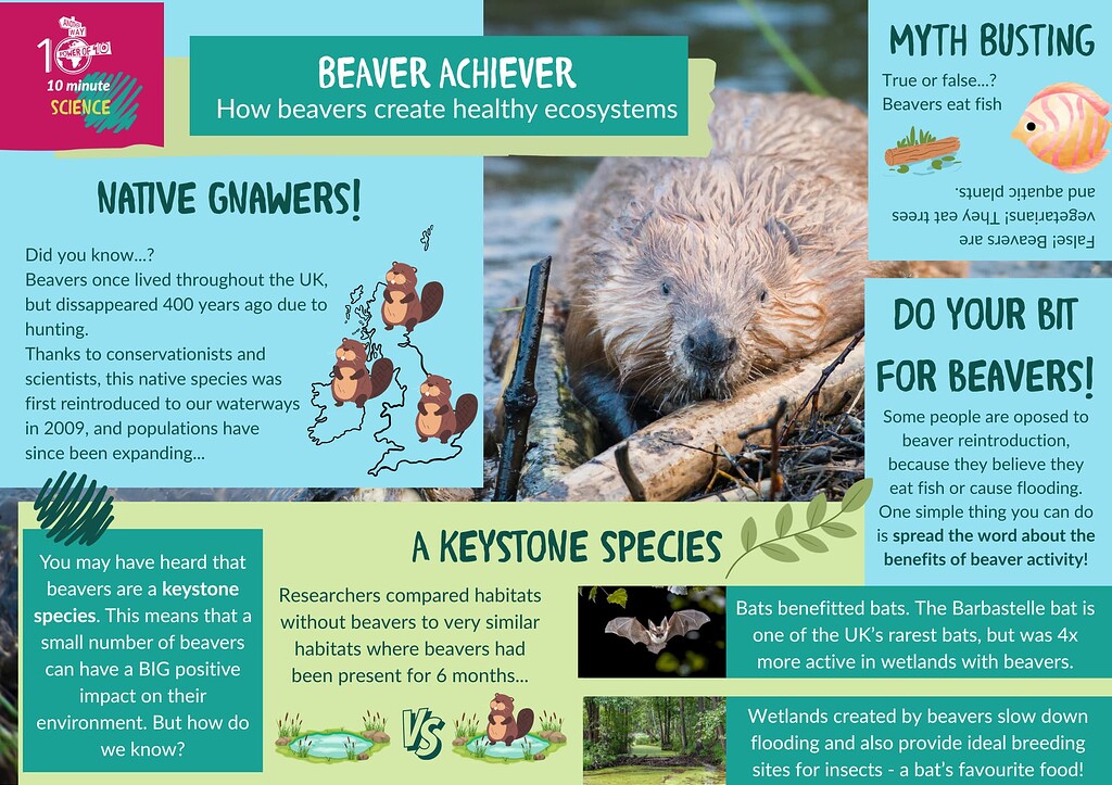 10 Minute Science - Beaver Achiever: How Beavers Create Healthy ...