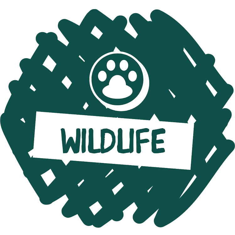 Wildlife - Power of 10